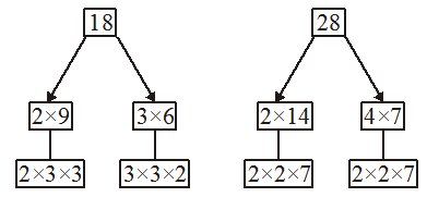 Playing With Numbers For Prime Factorization | Physics Wallah