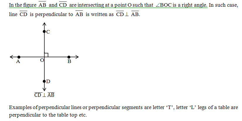 Basics Of Geometry For Ray and Lines | Physics Wallah