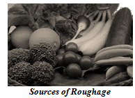 Roughage Water and Balance diet | Physics Wallah