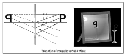 Reflection of Light | Physics Wallah