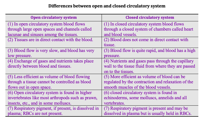 Circulatory System Types Functions & Overviews | Physics Wallah
