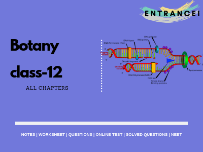 Chapter Wise Online Quiz for Class 12 Botany | Physics Wallah