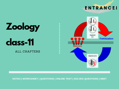 Chapter Wise Online Quiz for Class 11 Zoology | Physics Wallah