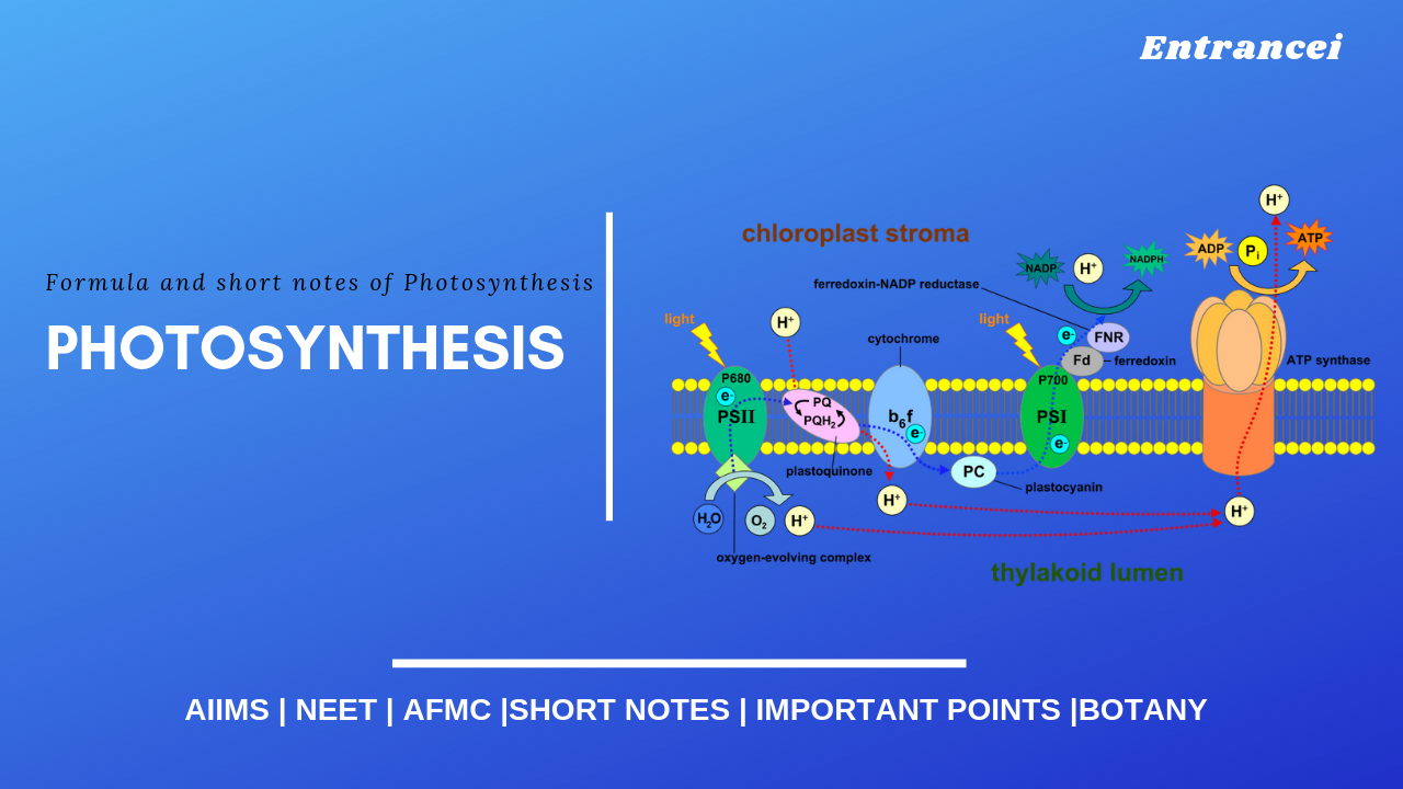 Photosynthesis for botany | NEET & AIIMS
