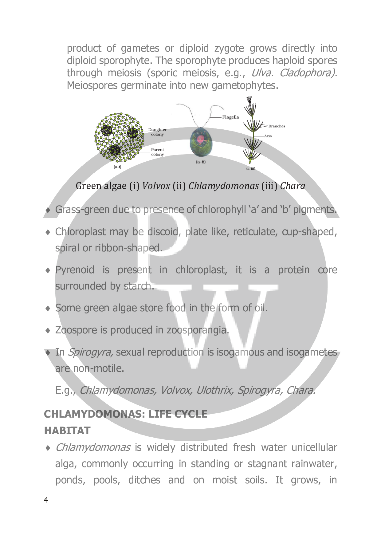 About Algae: characteristics ,classification and Examples