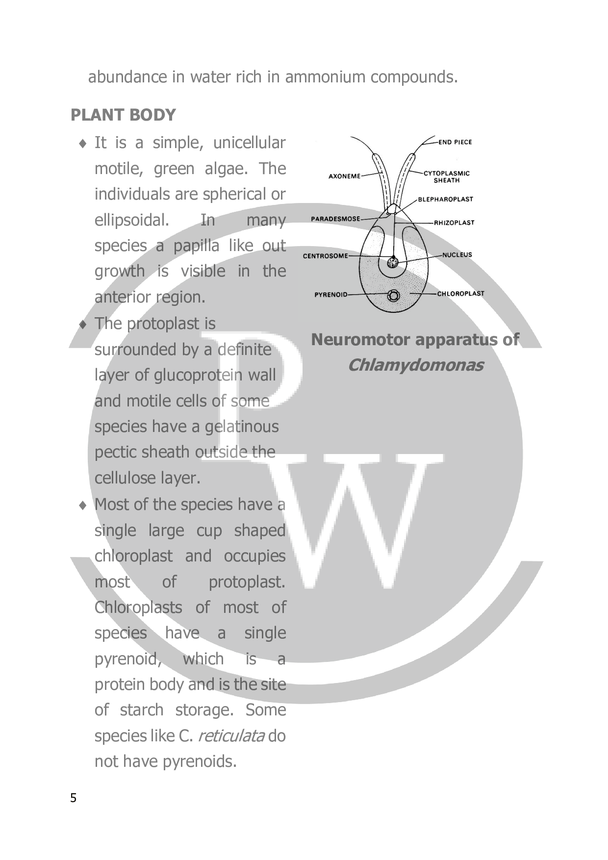 About Algae: characteristics ,classification and Examples