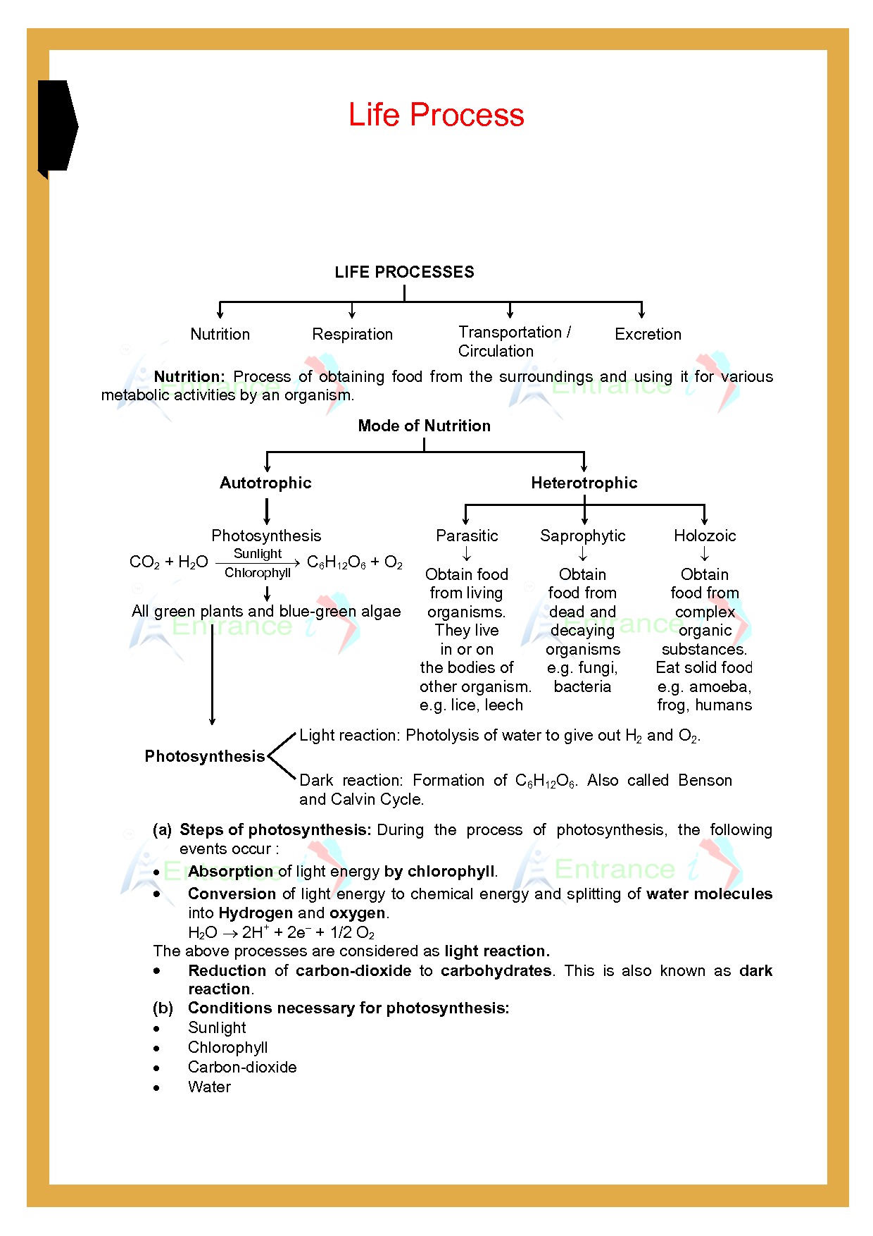 About Life process types