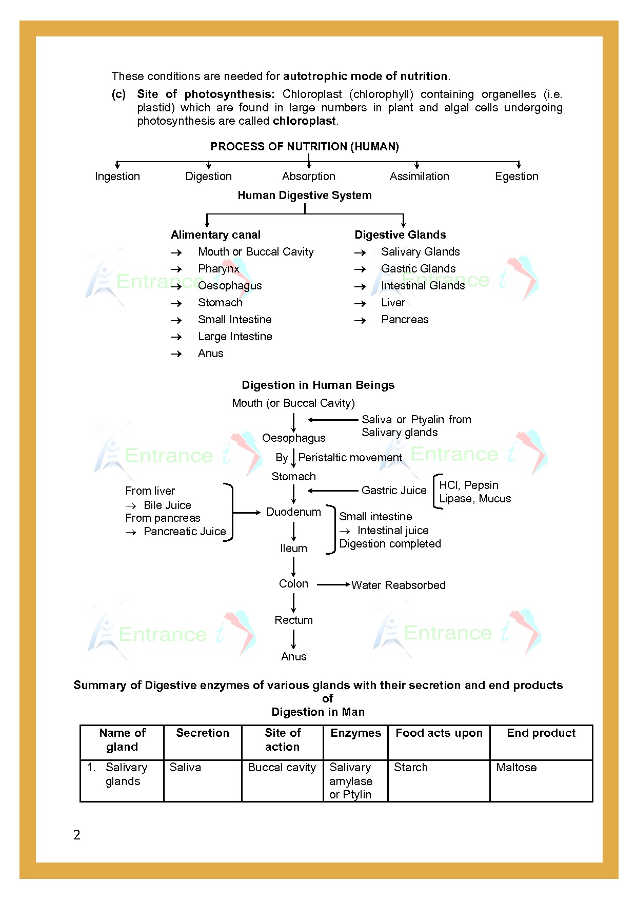 About Life process types