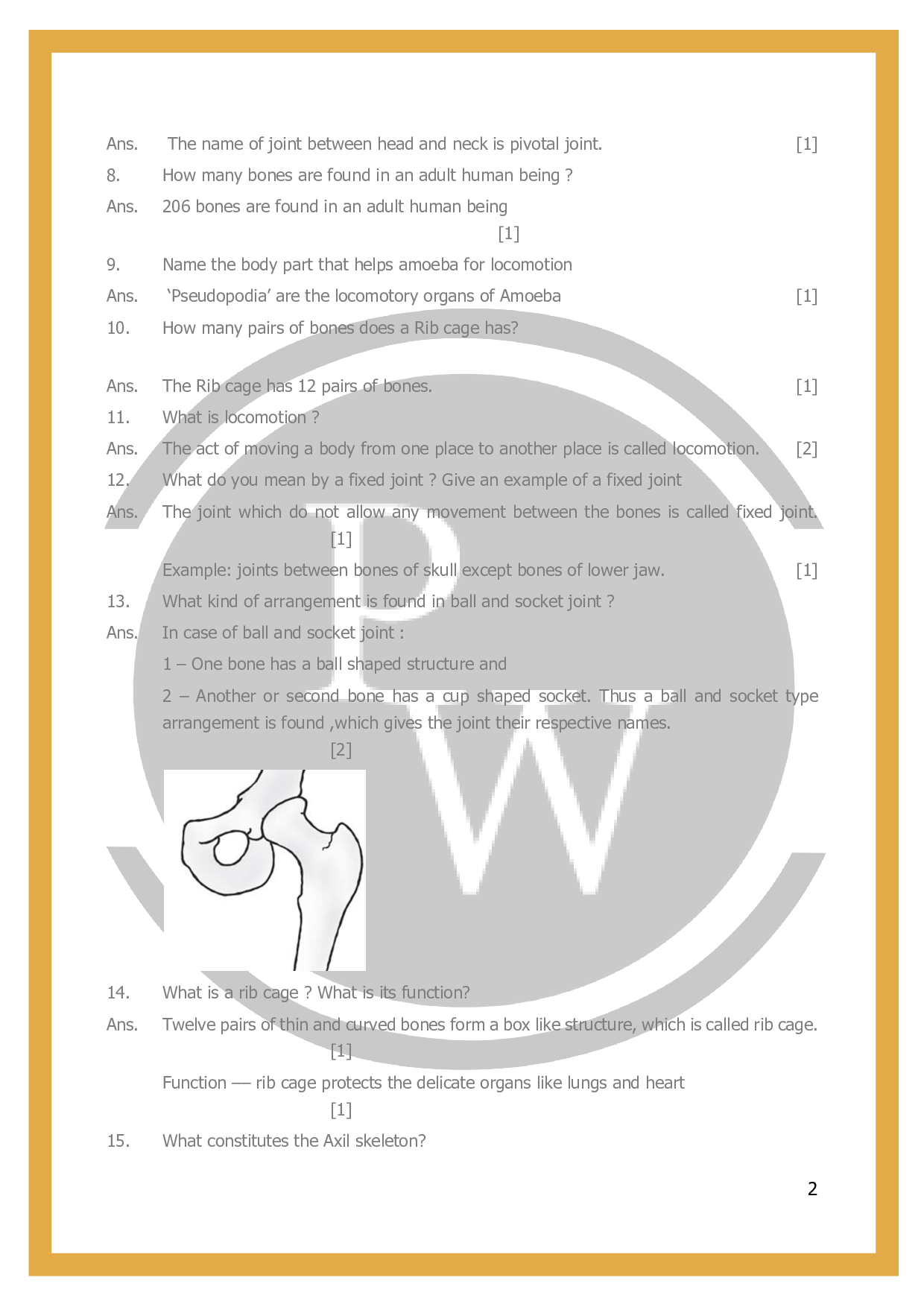 class 6 science worksheets Chapter 8-Body Movements |Physics Wallah