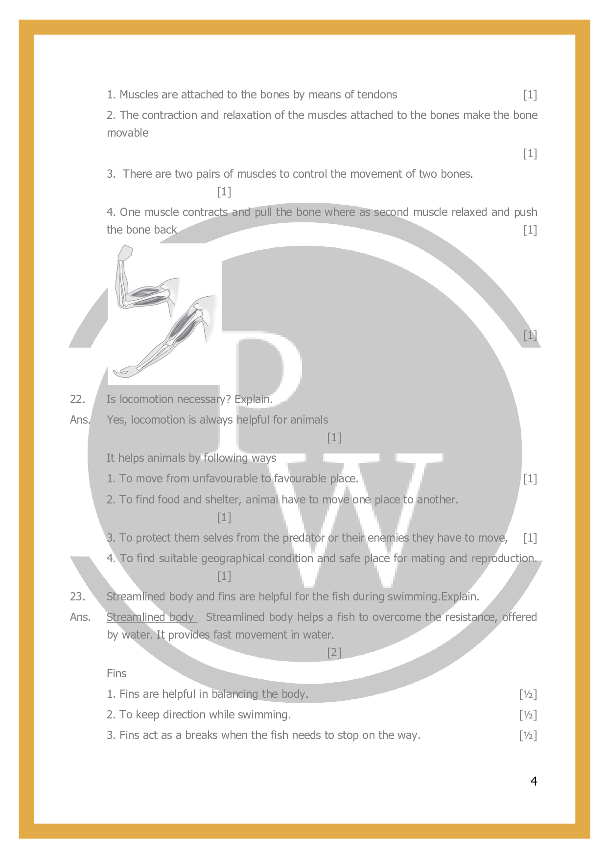 class 6 science worksheets Chapter 8-Body Movements |Physics Wallah