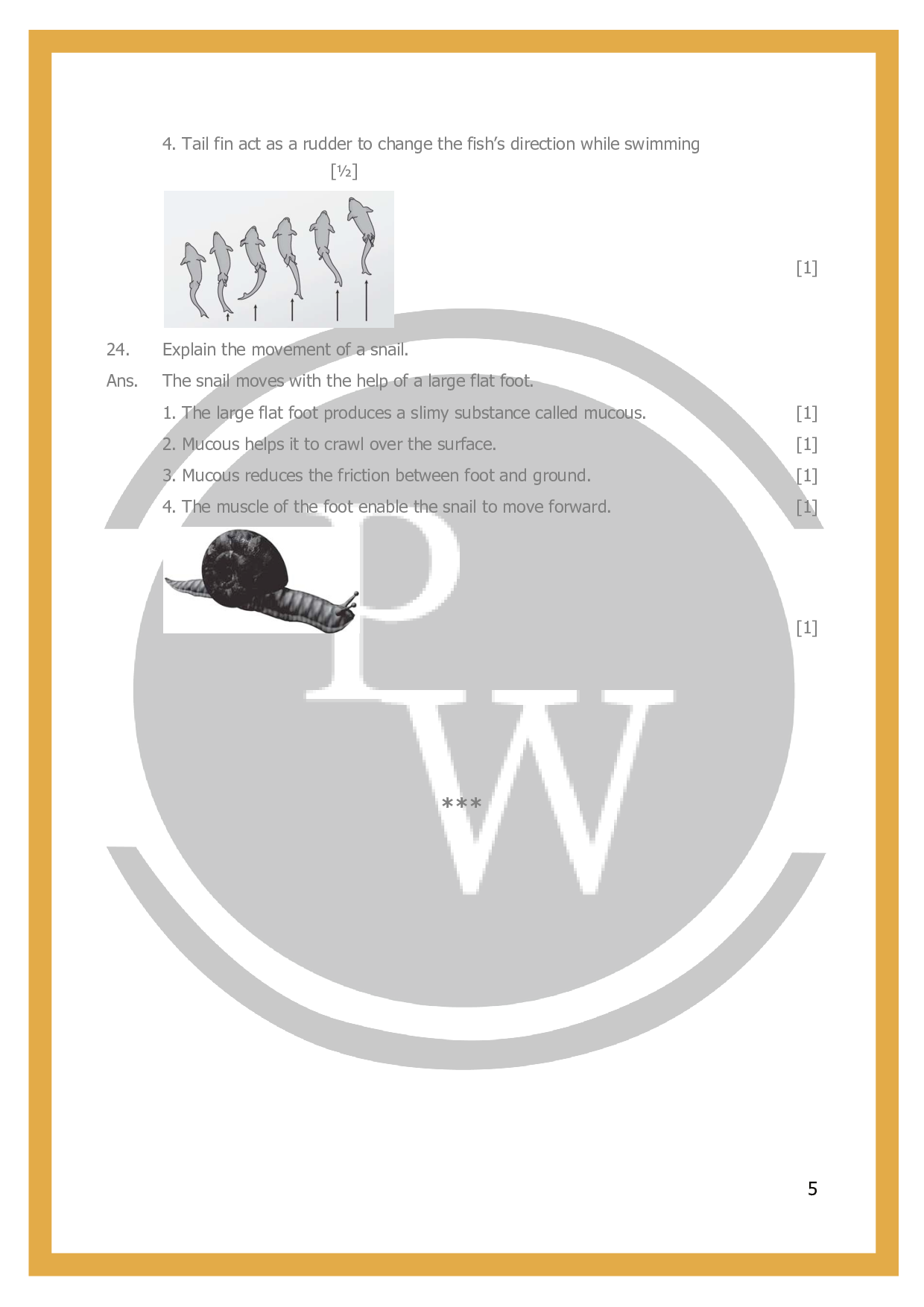 Class 6 Science Worksheets Chapter 8 Body Movements Physics Wallah