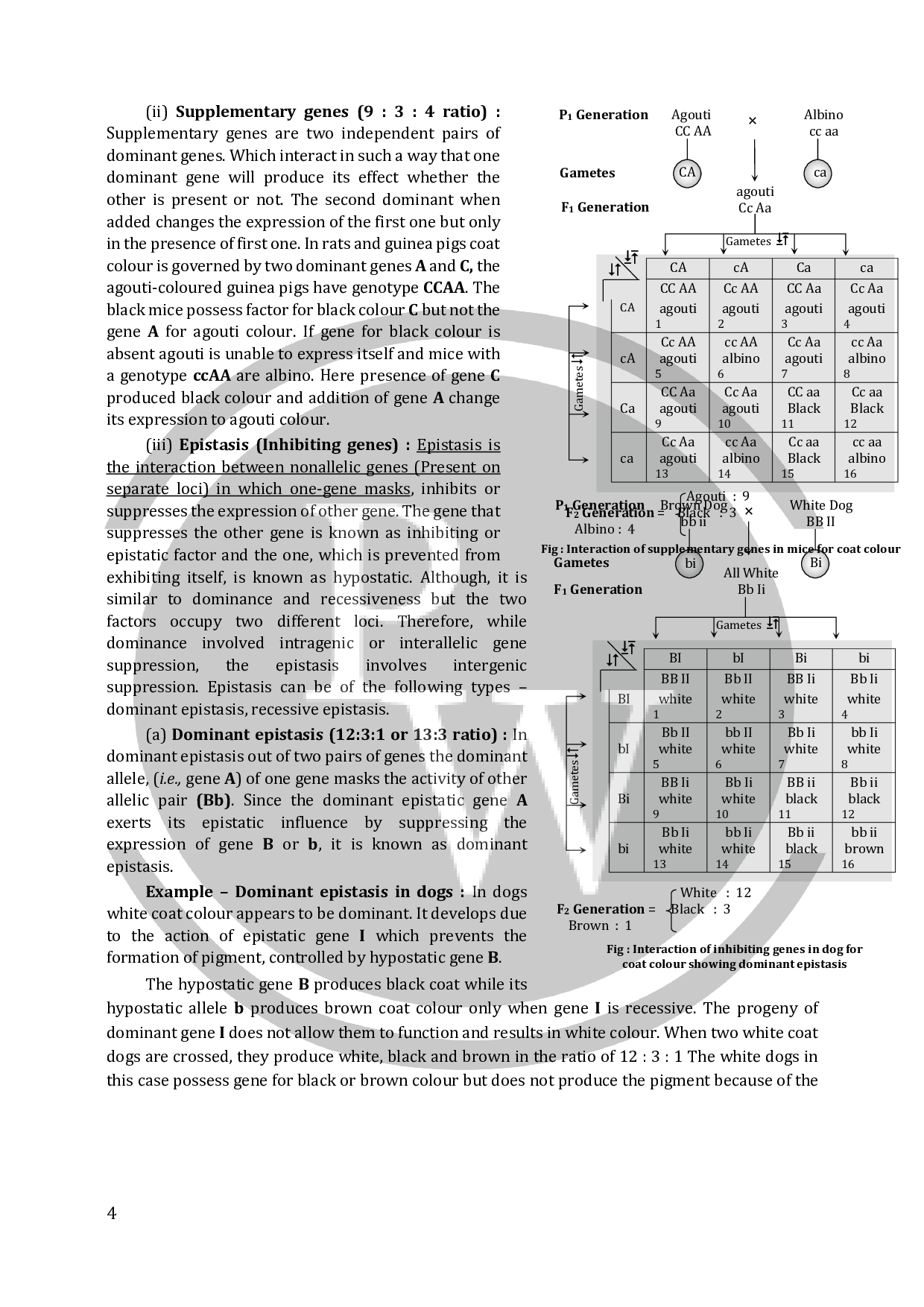 Genes Interaction and overviews | Physics Wallah