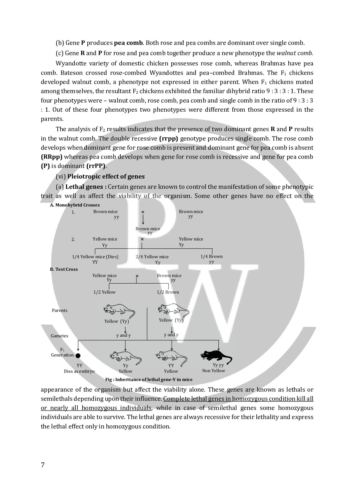 Genes Interaction and overviews | Physics Wallah