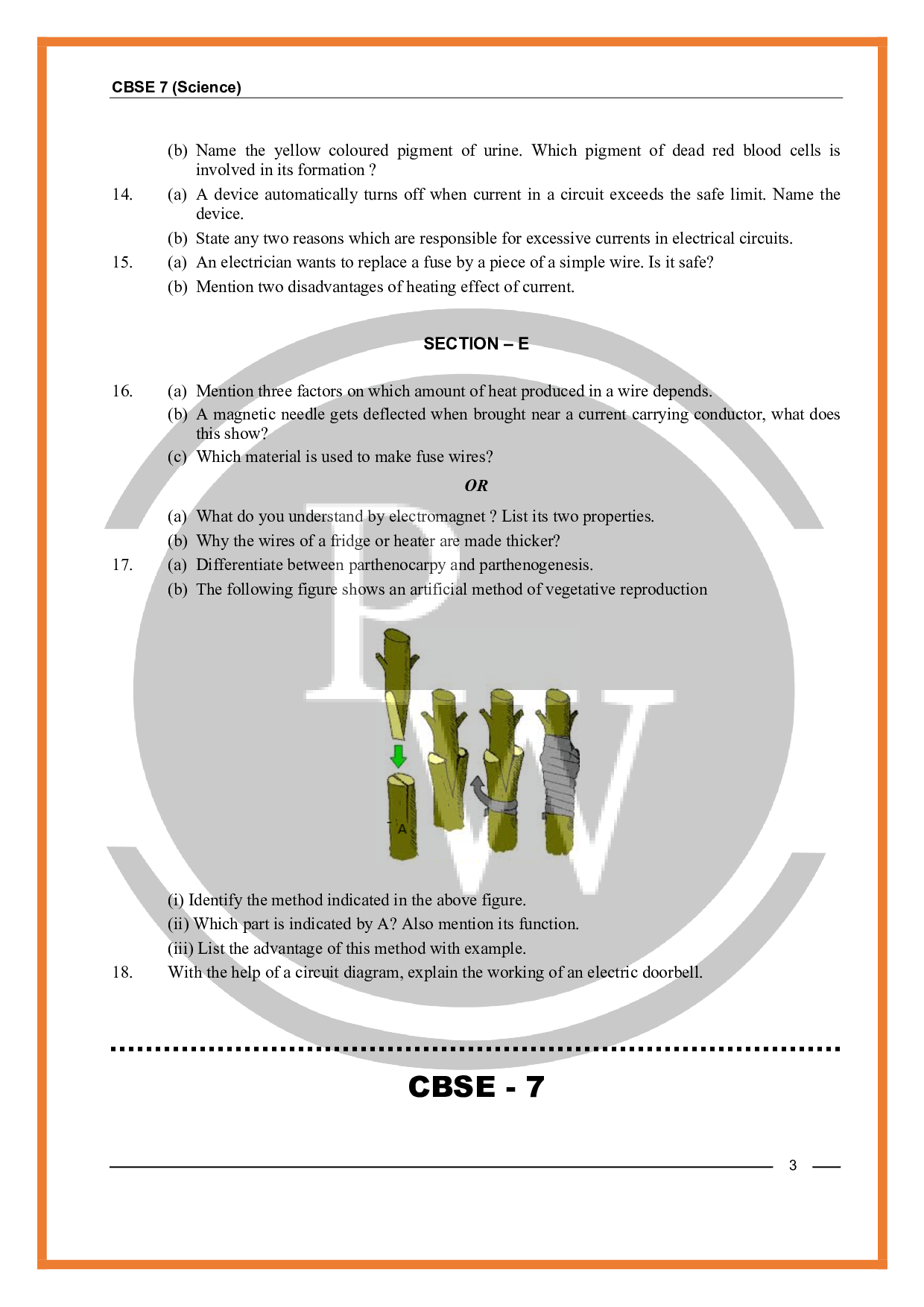 Class 7 Science Worksheet-6 With Solution |Physics Wallah