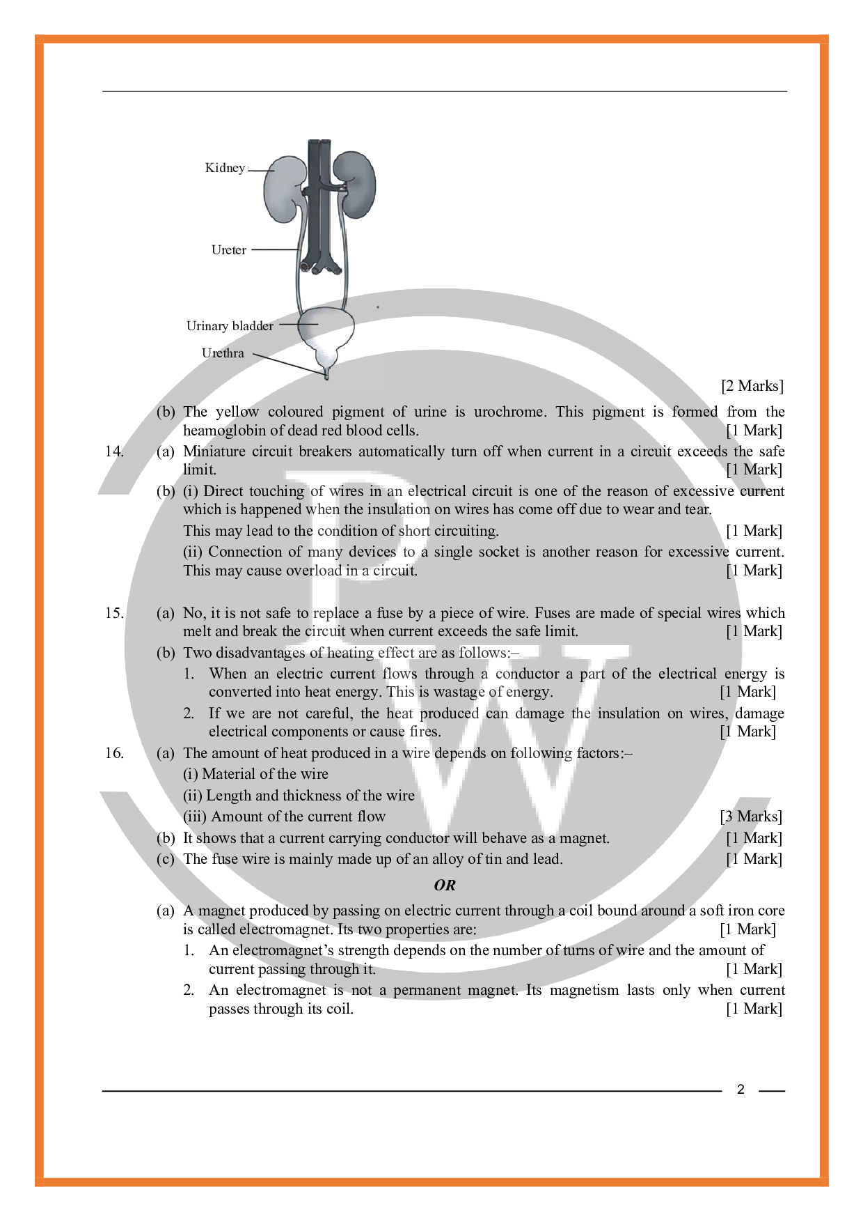 Class 7 Science Worksheet-6 With Solution |Physics Wallah