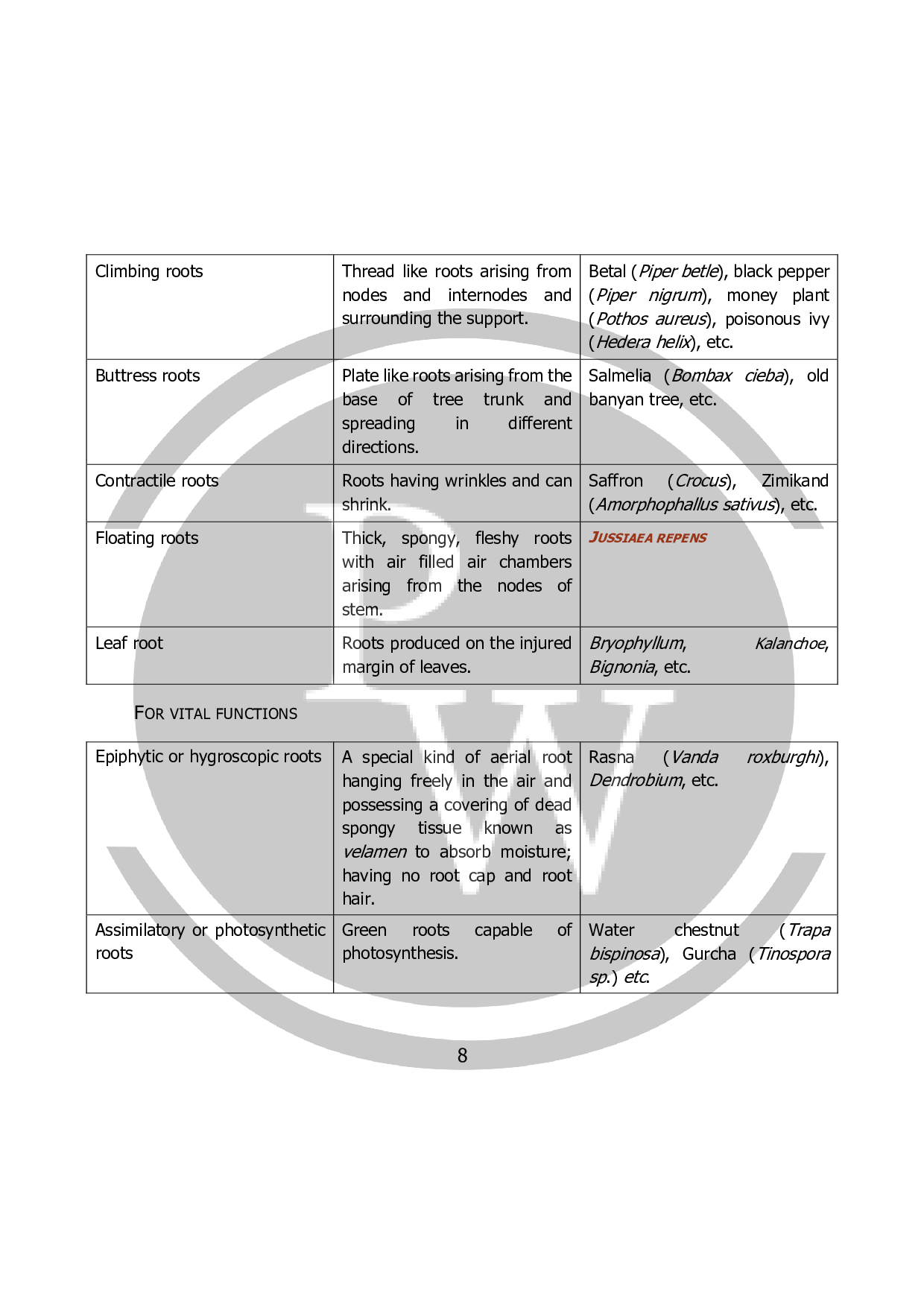 Root | About Types ,Definition, Functions & Morphology|Biology class 12 ...