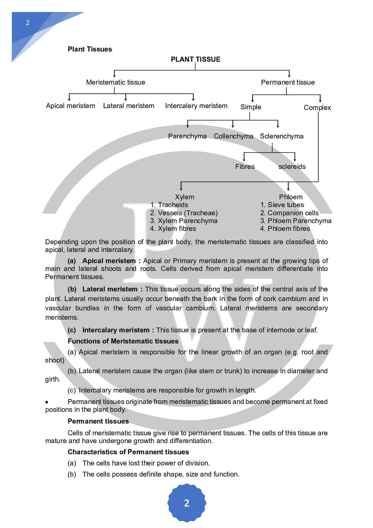 Short notes and key points of class 9 biology chapter-Tissues |Physics ...