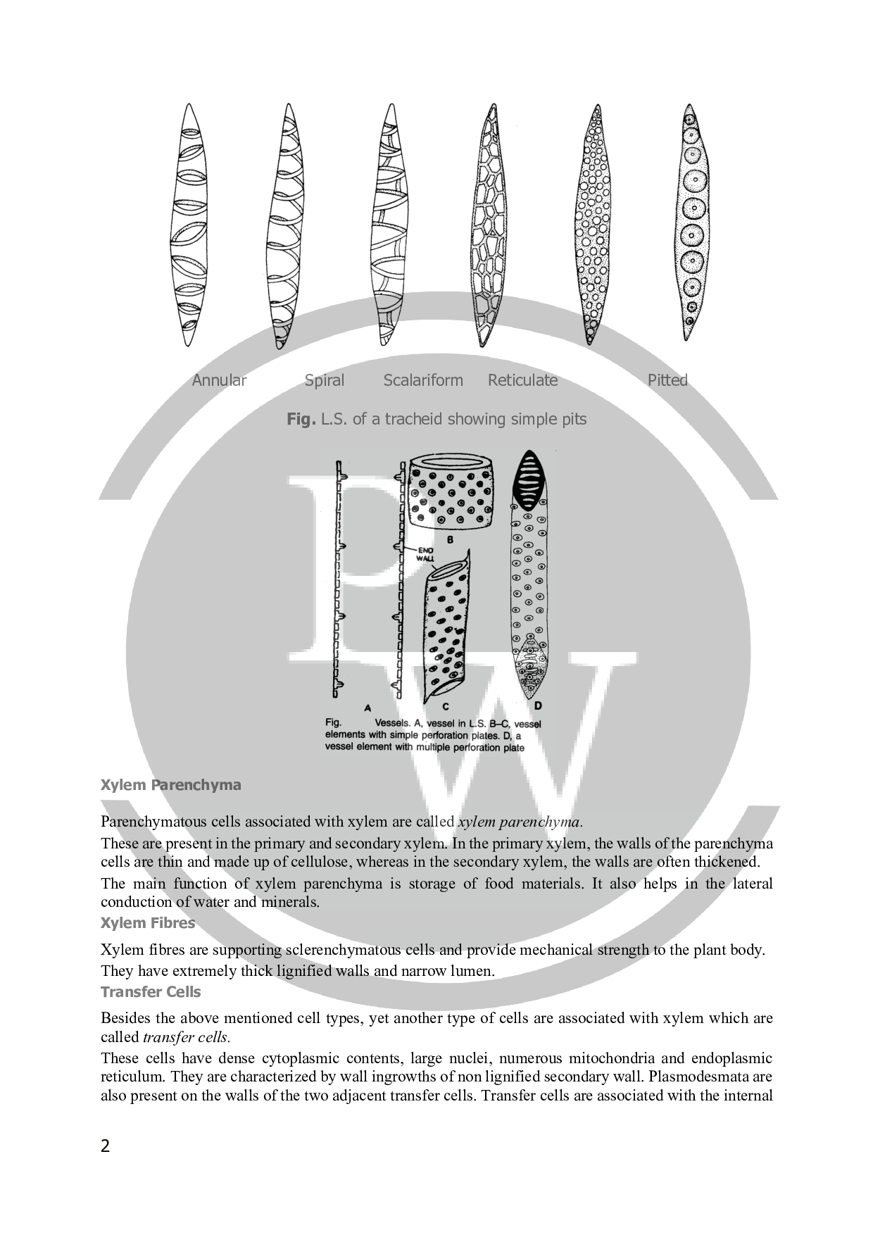 Plant Tissues |About Xylem |Type and functions of Xylem tissue ...