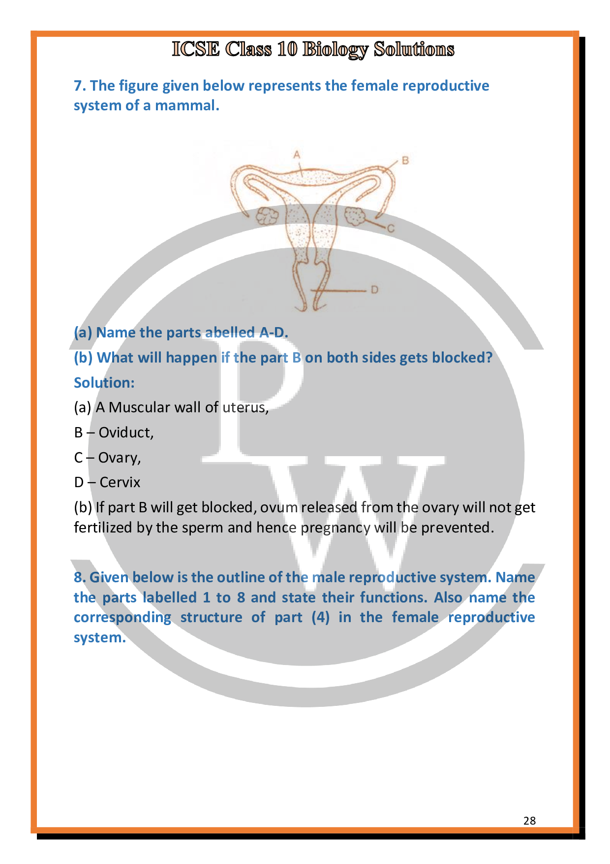 ICSE Class 10 Biology solutions For Chapter 13 The Reproductive System |PW