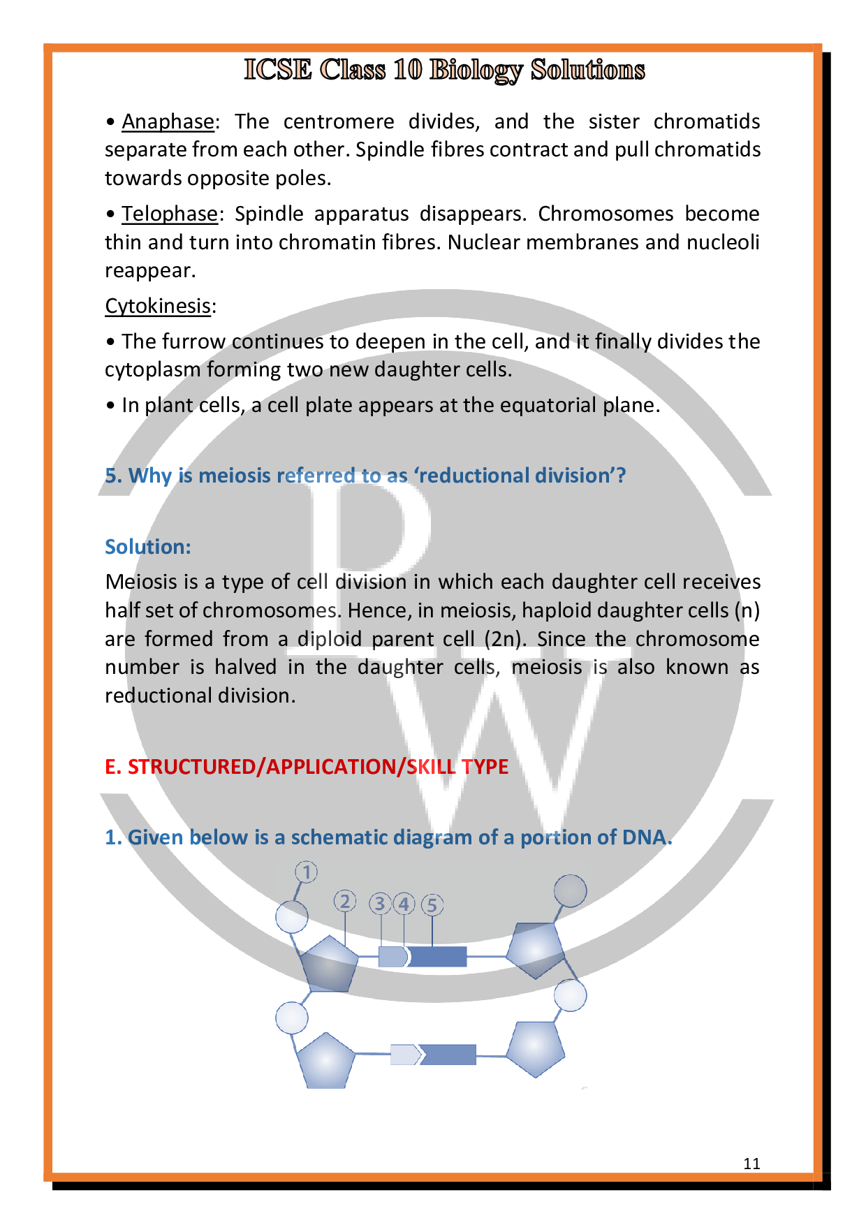ICSE Biology solutions for chapter-2 Structure of Chromosomes | PW