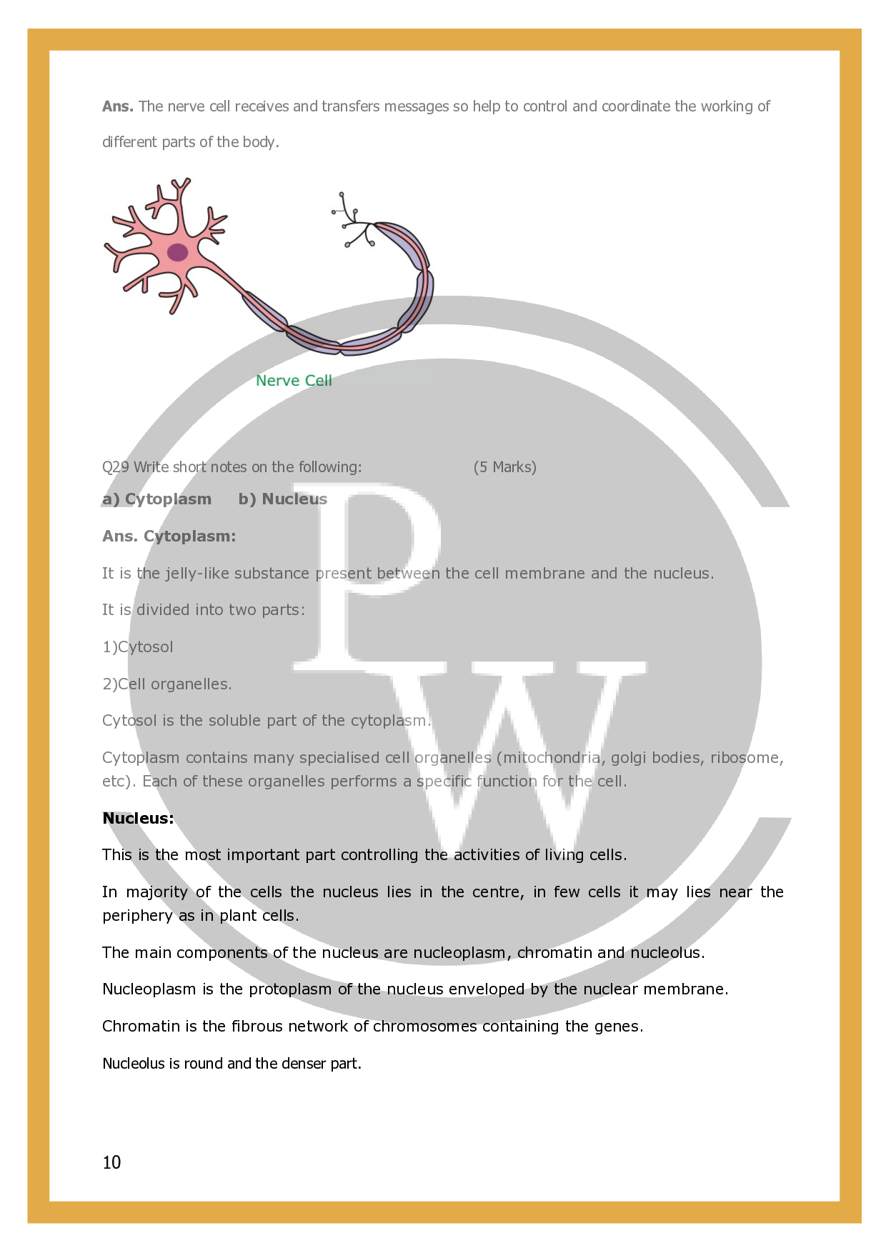 HOT & MCQ Based Questions|Cell - Structure and Functions