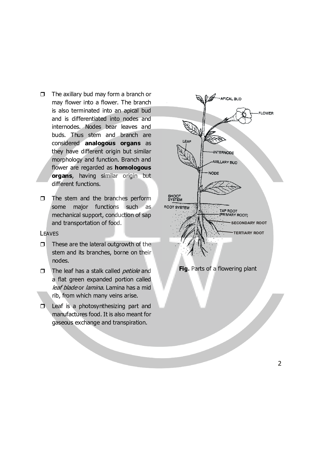 Parts of Angiosperm plants|Biology for NEET | PW