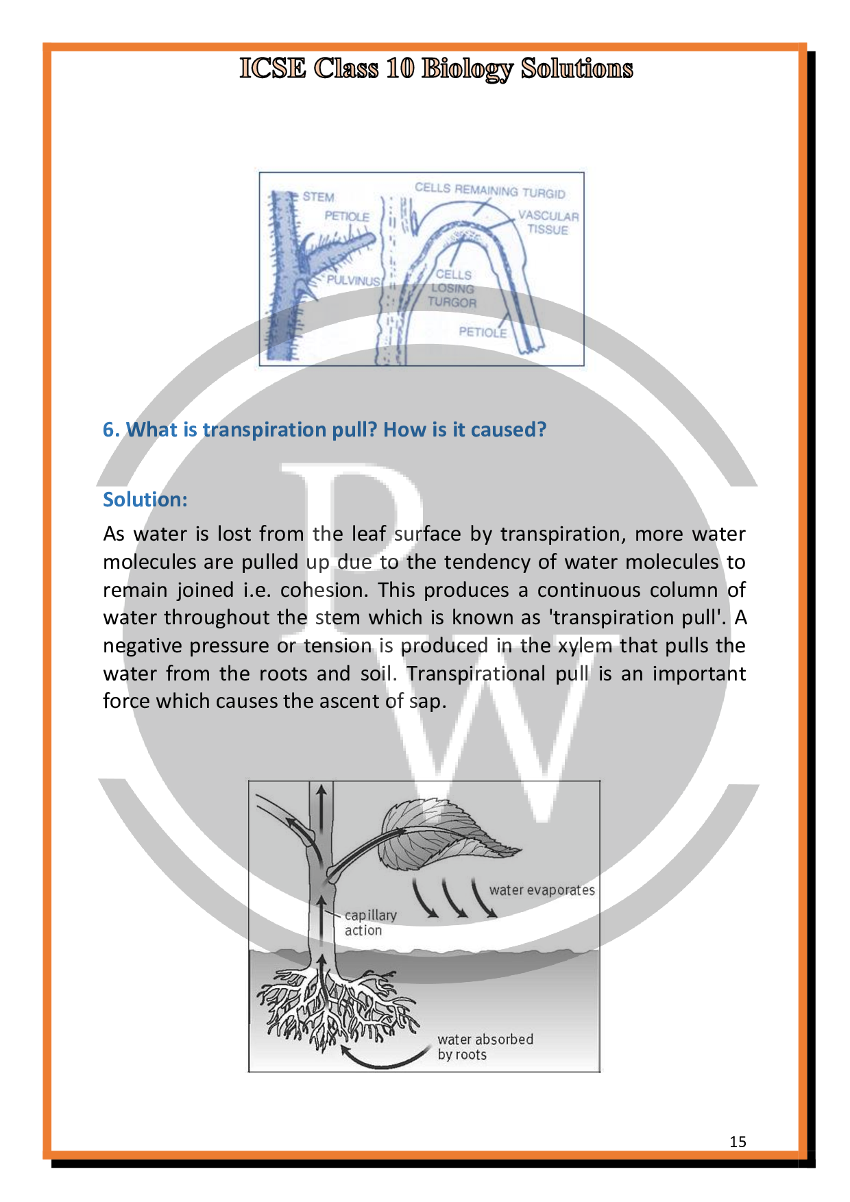 ICSE Biology solutions for chapter-4 Absorption by Roots | PW