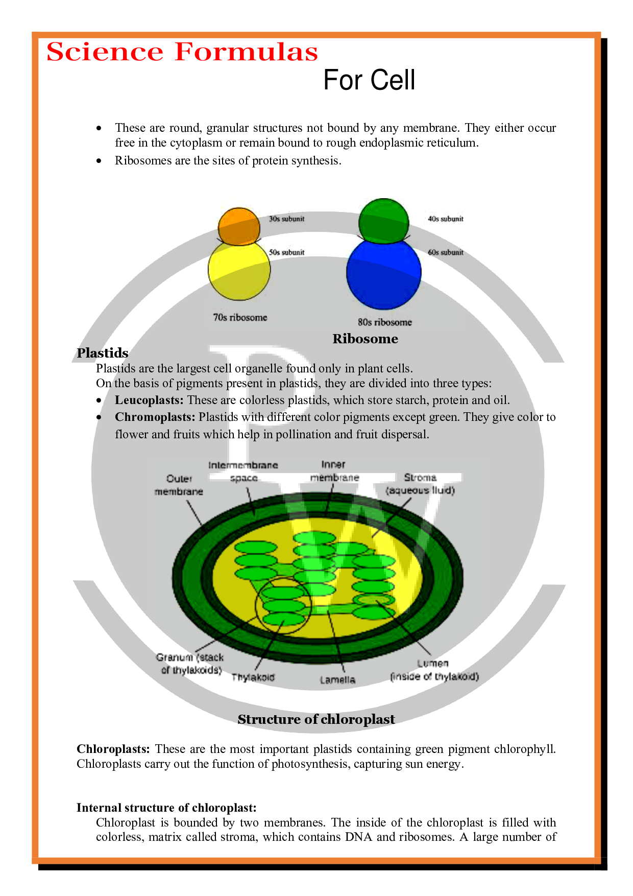 Class 8 Science Chapter Cell Short Notes And Formulas