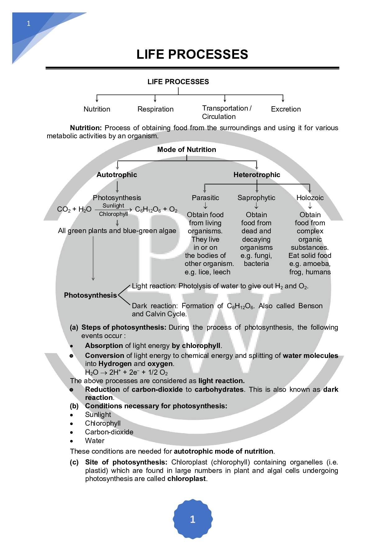 Science Class 10 Chapter Life Process Formula PW Science Class 10 Chapter Life Process Formula PW
