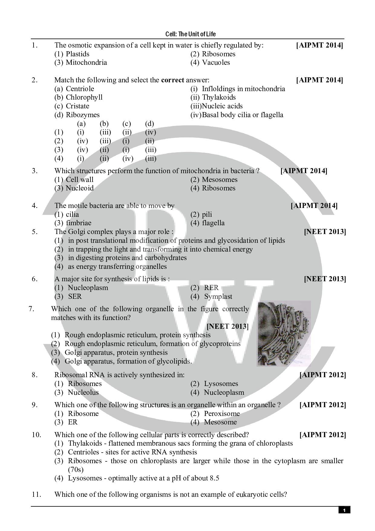 Plant Morphology Ncert Based Mcq For Neet Morphology Vrogue co Plant Morphology Ncert Based Mcq For Neet Morphology Vrogue co