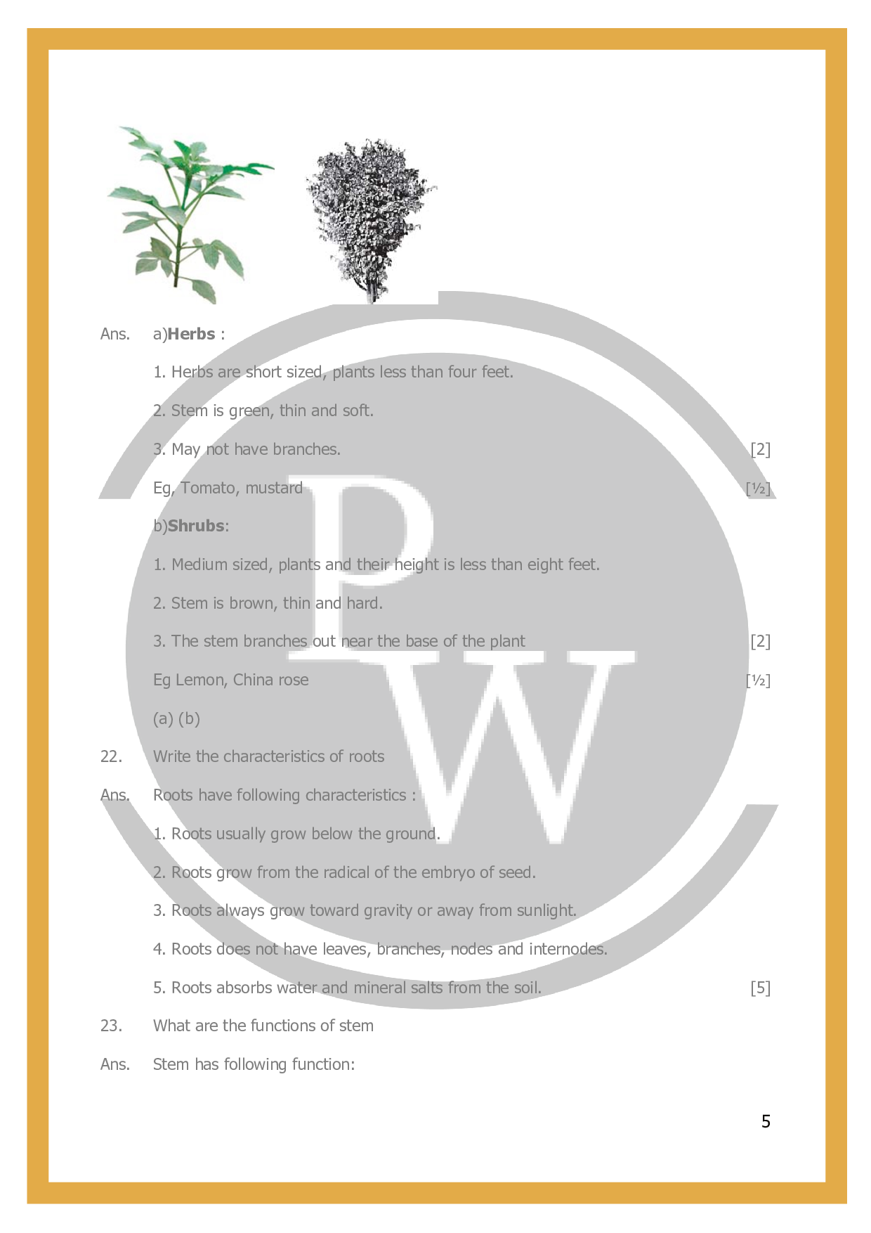 Class 6 Science Worksheets Chapter - 7 | Physics Wallah