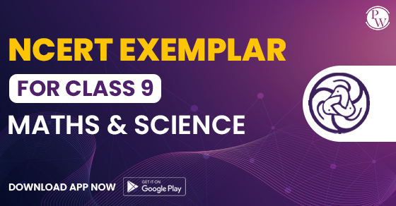 NCERT Exemplar For Class 9 Maths Solutions | Physics Wallah