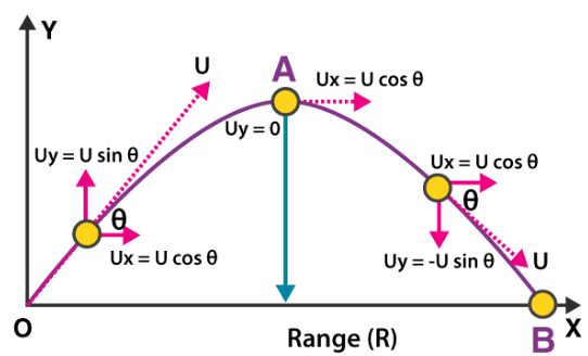 kinematics notes for iit jee pdf| Kinematics class 12th