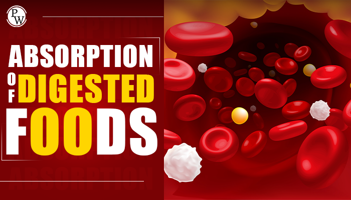 Absorption Of Digested Foods- PW