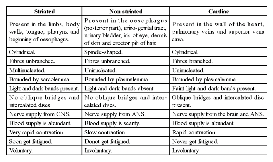 NCERT-Nervous Tissue Thoery Notes For Class 11|PW