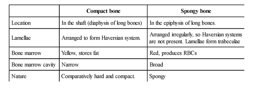 NCERT-Skeletal Tissues Notes For Class 11|PW