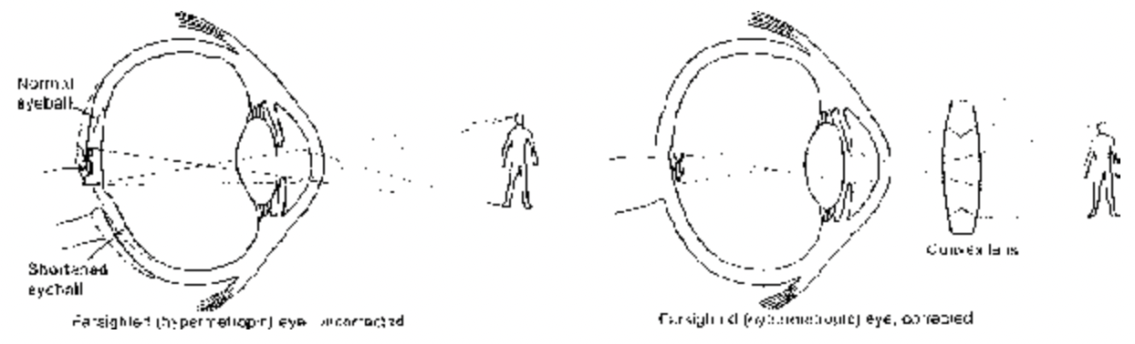 Working Principle of Eye
