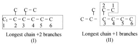 Naming Of Bigger Compounds Class 11 | PW