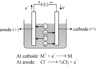 Electrolytic Process Class 12 Electrochemistry | Physics Wallah