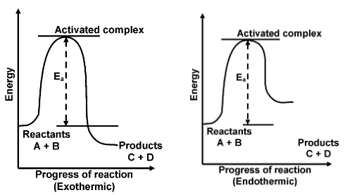 Collision Theory Of Reaction Rates Notes For Class 12|PW