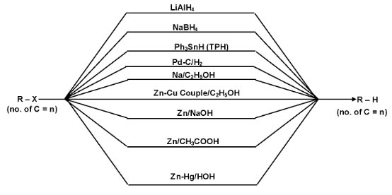 Hydrocarbon: Class 12: Alkanes