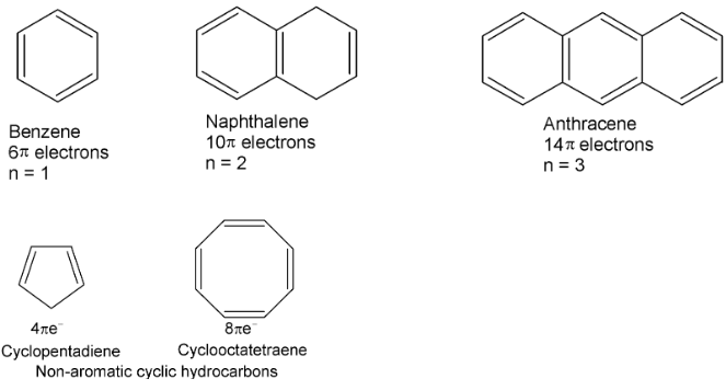 Class 12th|Hydrocarbon: Alkynes