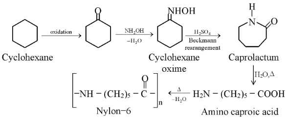 Polystyrene Or Styron Class 12 | Physics Wallah