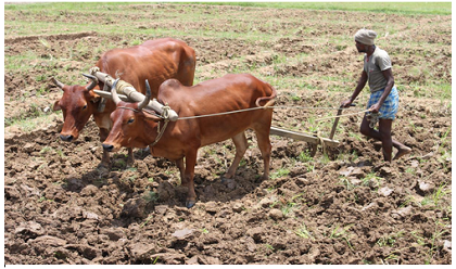 About crop and crop seasons, class 8 biology | PW