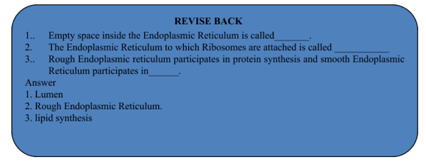 Endoplasmic Reticulum Class 9 Science Notes