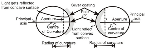 Some Important Terms Related To Spherical Mirrors Class 9| PW