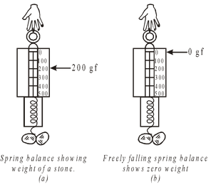 Weight Definition Physics