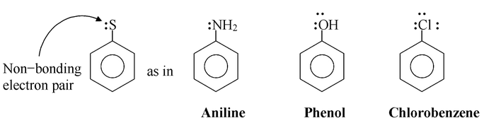 Ortho-Para-Directing Groups Class 12 | PW