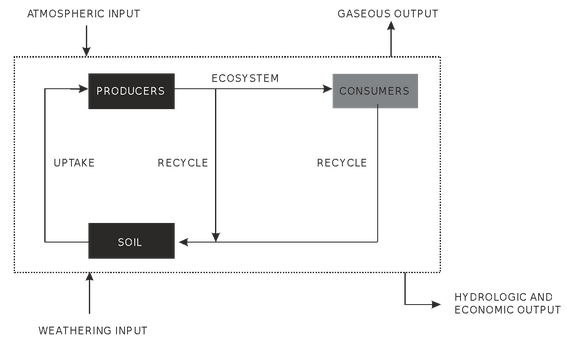 Class 12 Botany | Nutrient Cycle