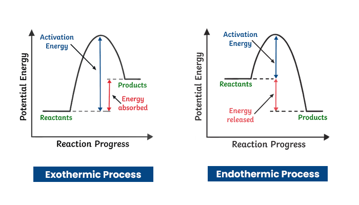 Exothermic Reaction Diagram